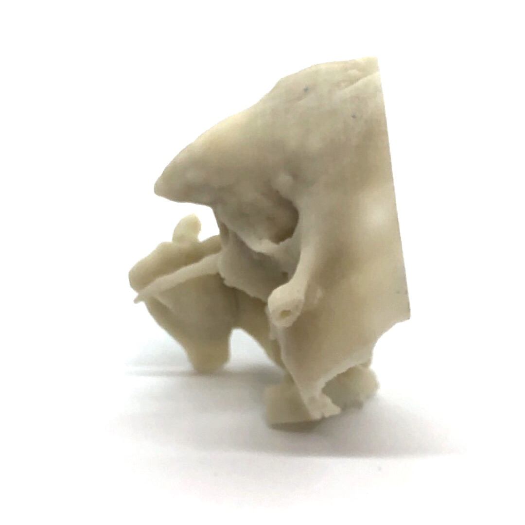 3D Printed Temporal Bone Model | C11 | KEZLEX
