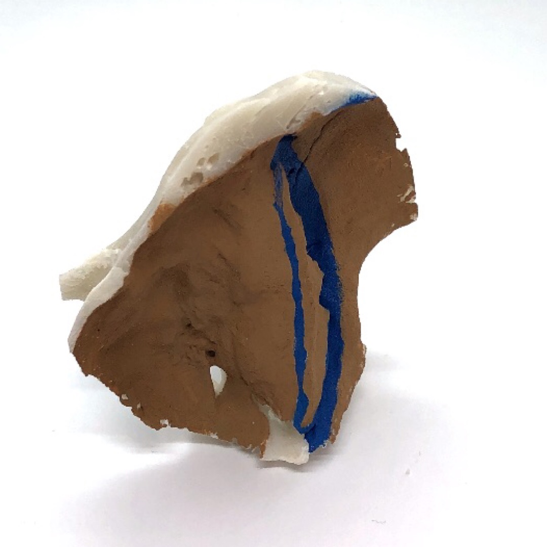 3D Printed Temporal Bone Model Inner Structure Colored Model | C14 | KEZLEX