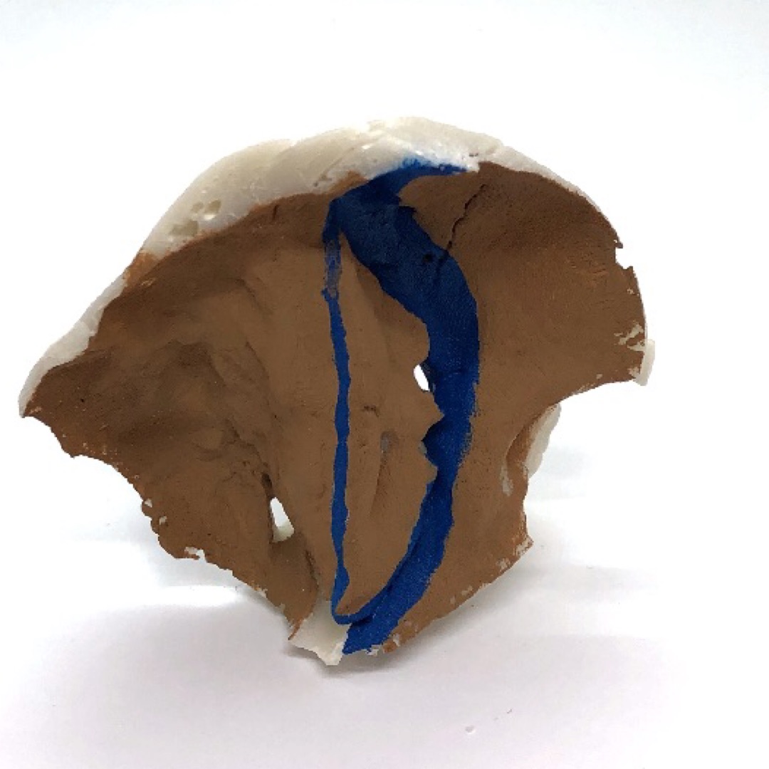 3D Printed Temporal Bone Model Inner Structure Colored Model | C14 | KEZLEX